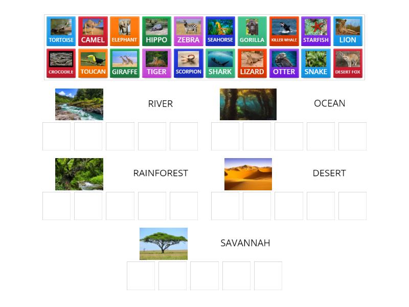 ANIMAL HABITATS - Group sort