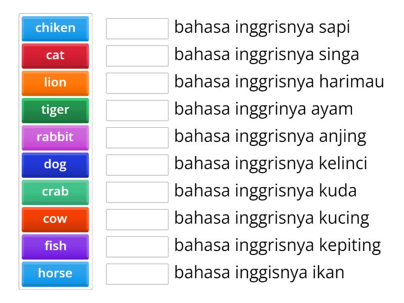 Hewan dalam Bahasa Inggris - Match up