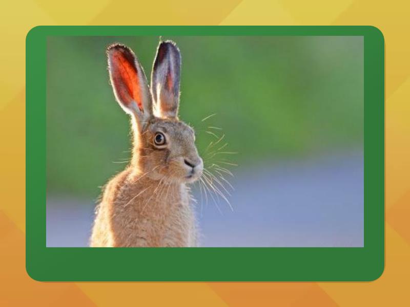 Outcomes Inter 11.1 check - Flash cards