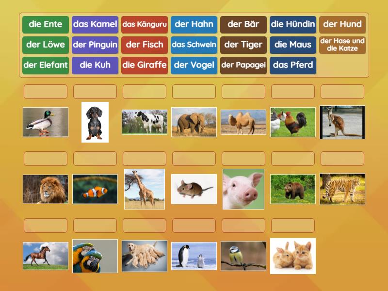 Wortschatz - Tiere - Match up
