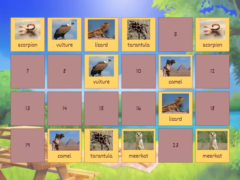 Desert animals - Matching pairs