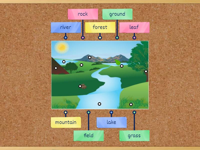 Nature - Labelled diagram