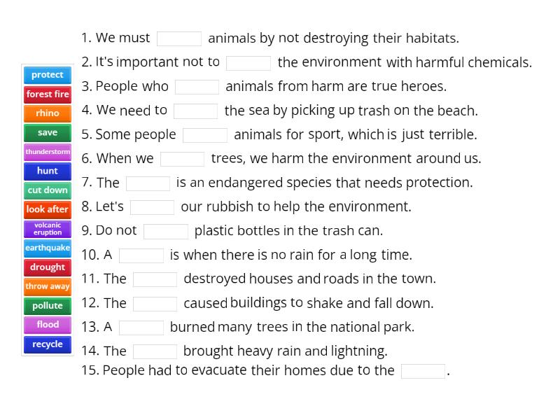 environment revision - Complete the sentence