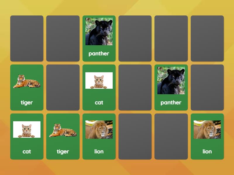 Cats - Matching pairs