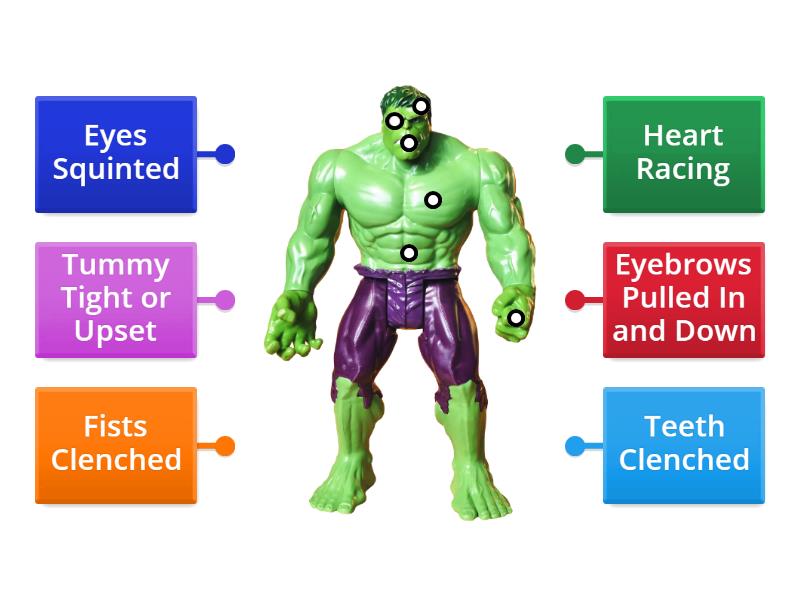 Who Let the Hulk Out? (Physical Cues of Anger) - Diagrama con etiquetas