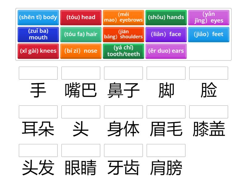 Chinese 3 - Body Part Vocabulary Words - Match up