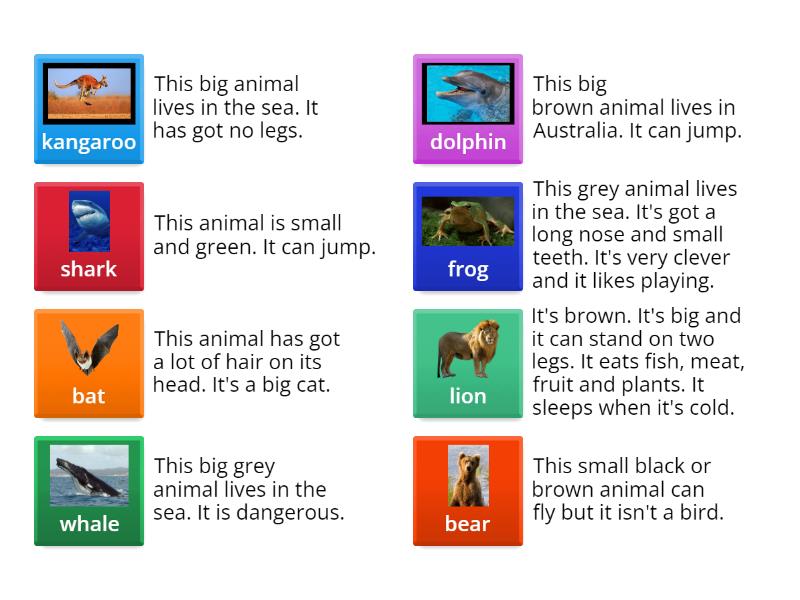 Animals-descriptions-KB3 - Unscramble