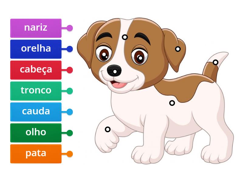 partes do corpo do animal - Labelled diagram