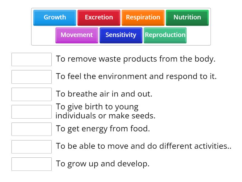 The Life Processes (MRS GREN) - Match up