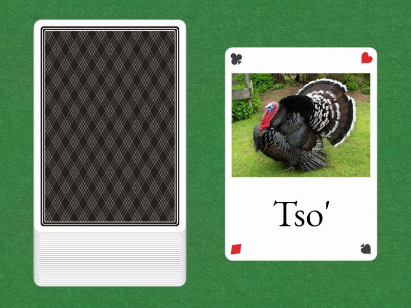 Animales en maya - Cartas al azar