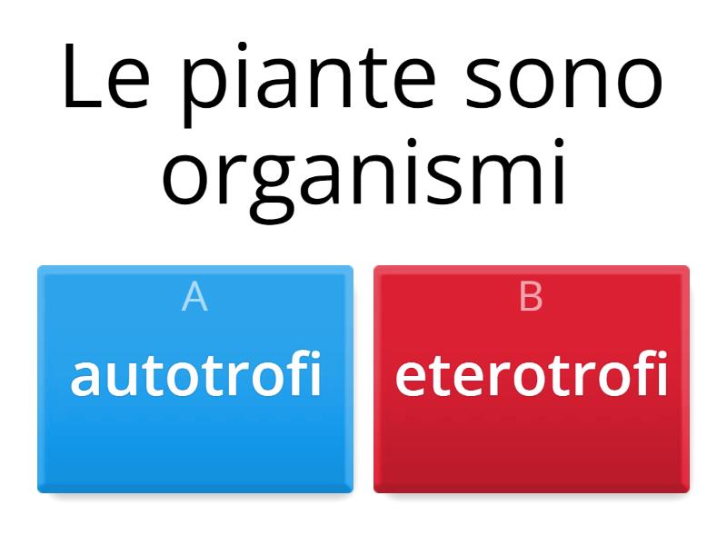 il regno delle piante - Cuestionario