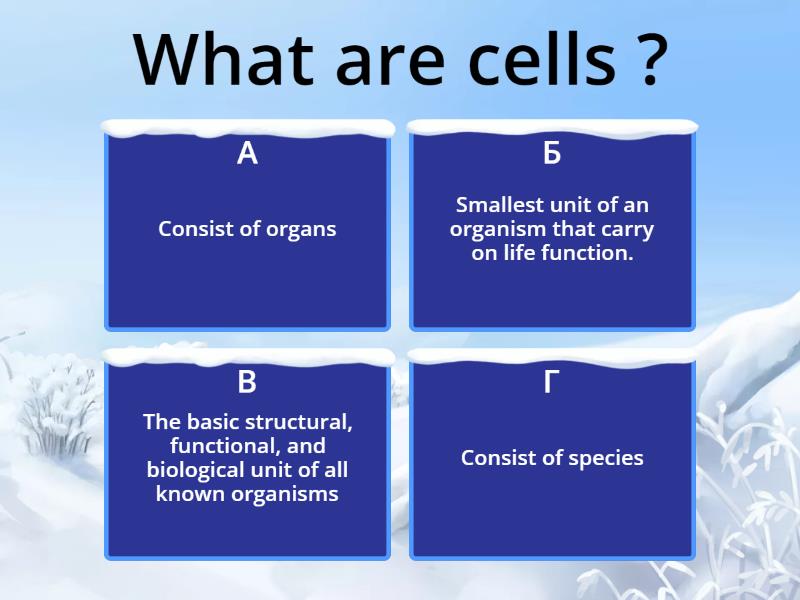 Cell Biology - Quiz
