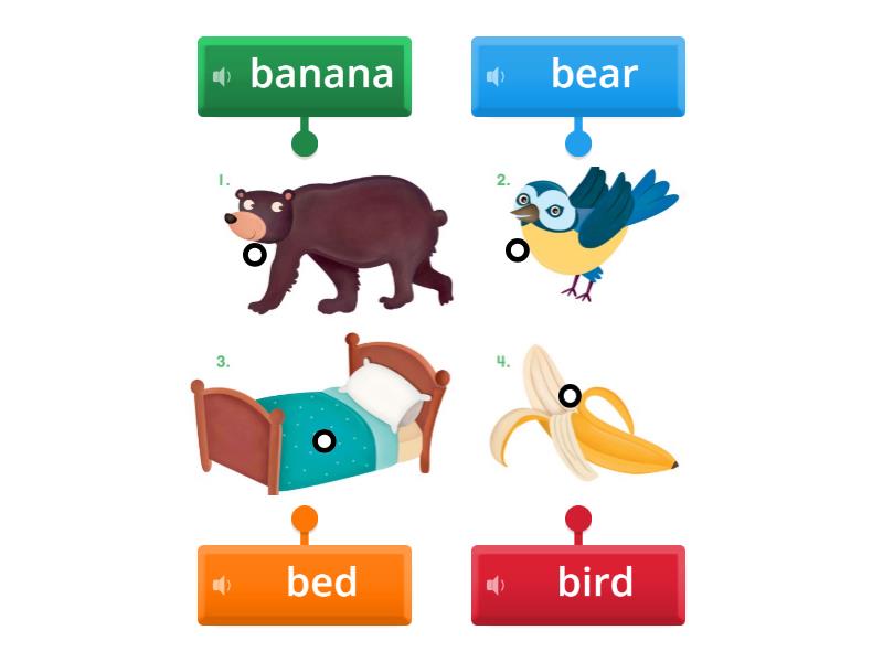 Bb vocabulary - Labelled diagram