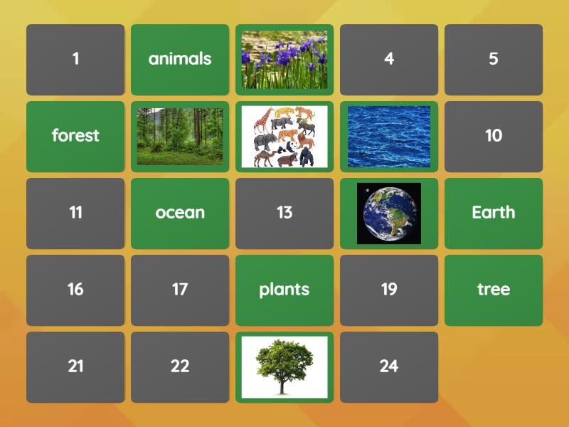 Planet Earth - vocabulary - Matching pairs