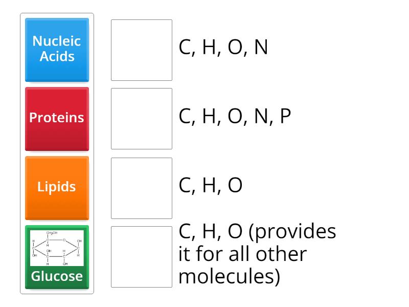 Macromolecules Elements - Match up
