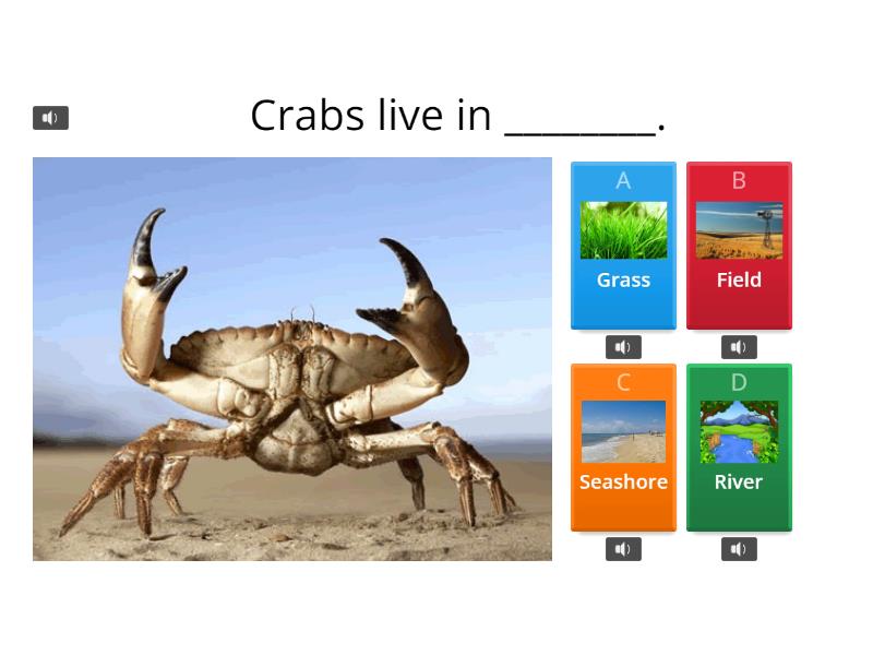 Science_Unit 1_Lesson 1_Animals in their habitats - Quiz