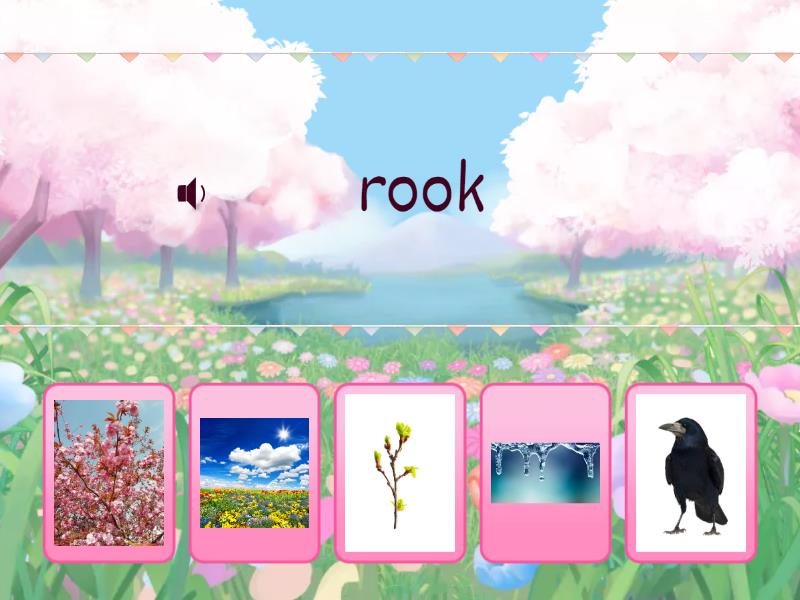 Spring 2 - Find the match