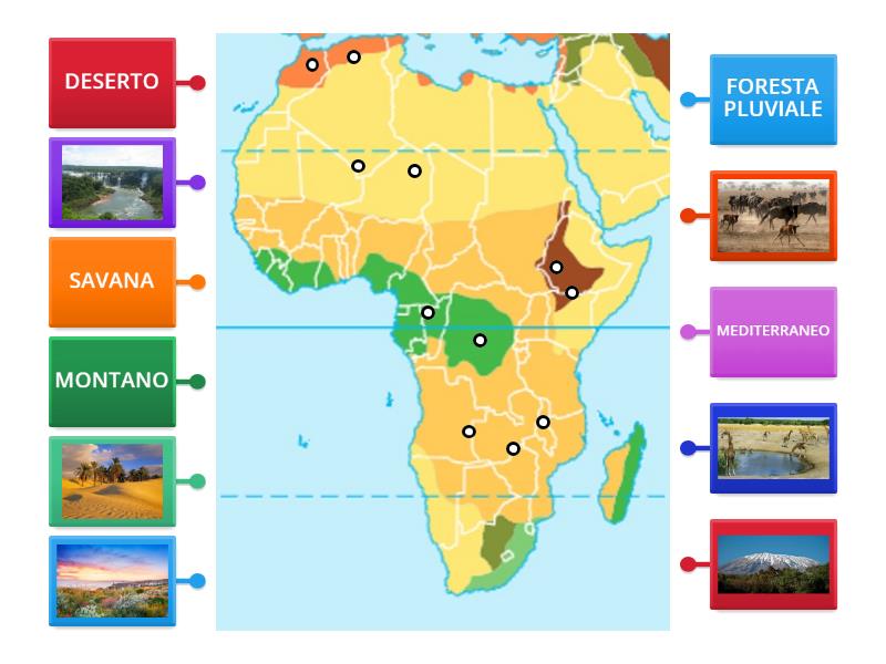 BIOMI AFRICA - Labelled diagram