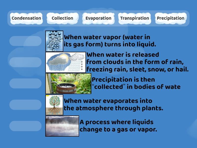 4 stages of the water cycle - Match up