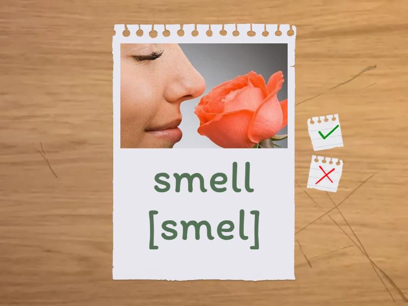 Little Red Riding Hood - Flash cards