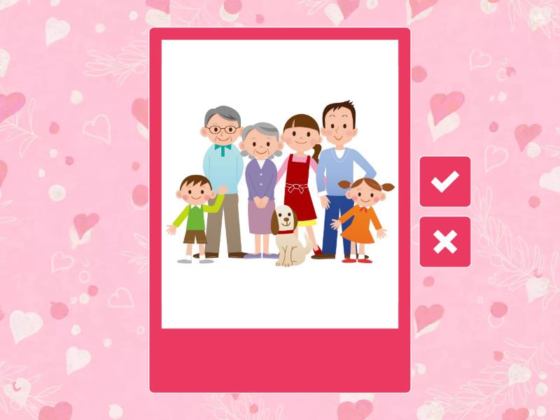 2 grade have/has got - Flash cards