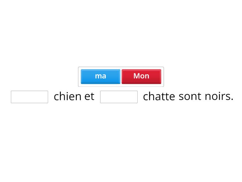Mon ma mes pronom LV 1, unit 2 - Complete the sentence