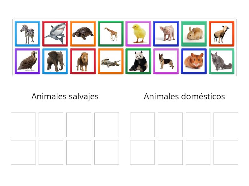 Clasificación de animales domésticos y salvajes - Group sort