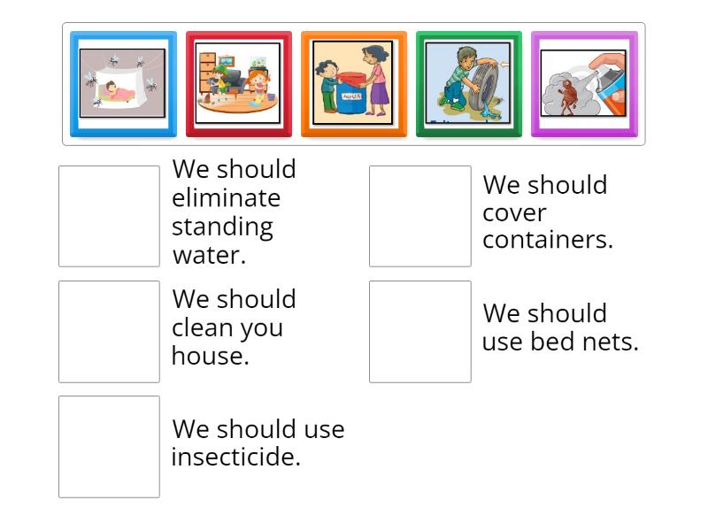 What should we do to prevent dengue? - Match up