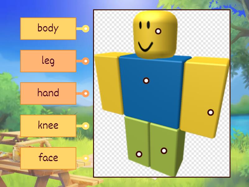 Roblox Quiz Labelled Diagram
