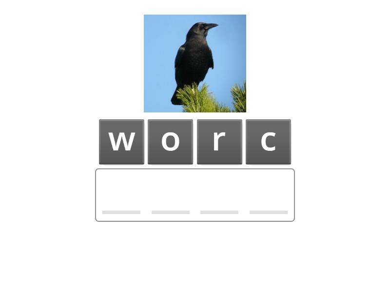 vowel ow words - Anagram