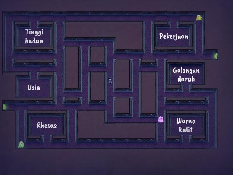 IMMUNE SYSTEM MAZE - Maze chase