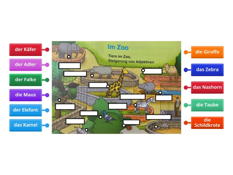 im Zoo - Labelled diagram