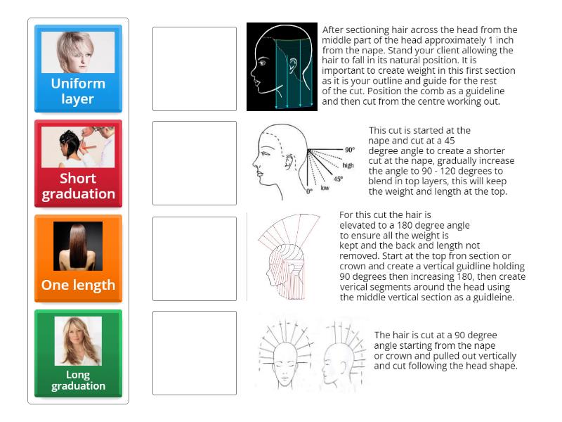 Angles when cutting womens hair - Match up