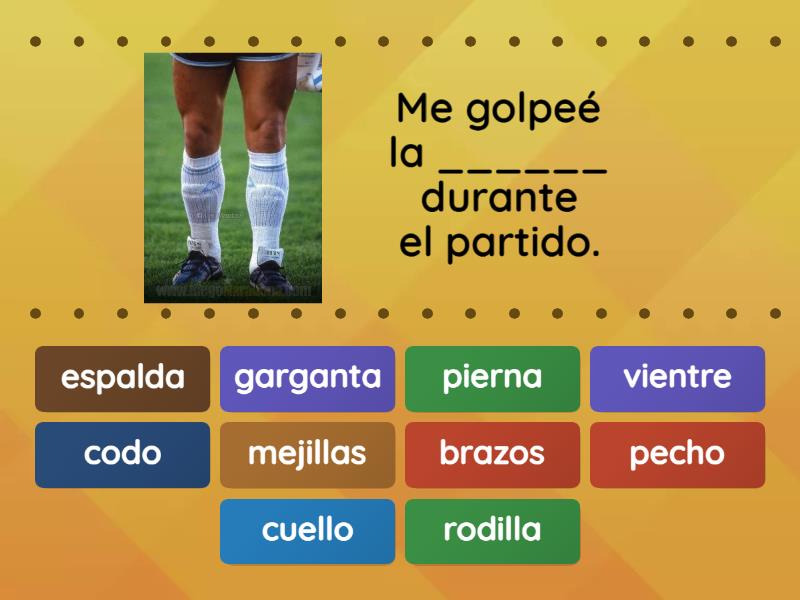 Partes del cuerpo - Find the match