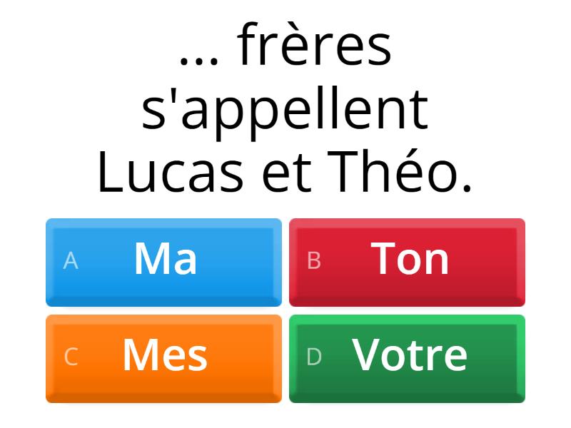 Les Adjectifs possessifs - Quiz