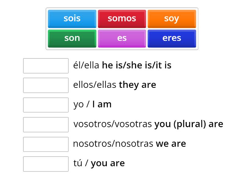 El verbo SER (to be) - Match up