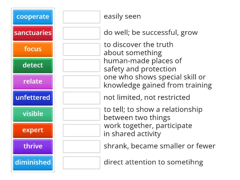 My View Grade 5 Unit 2 Week 5 - Match up