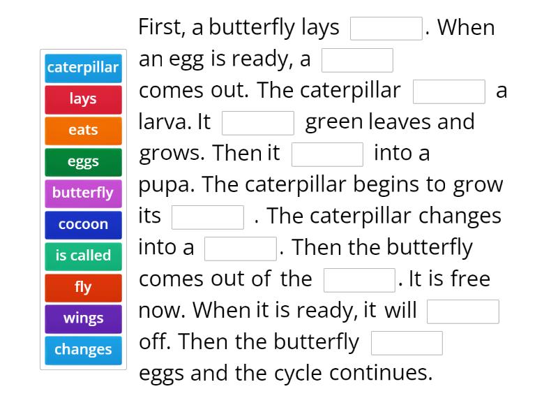 A Life Cycle of a Butterfly - Complete the sentence