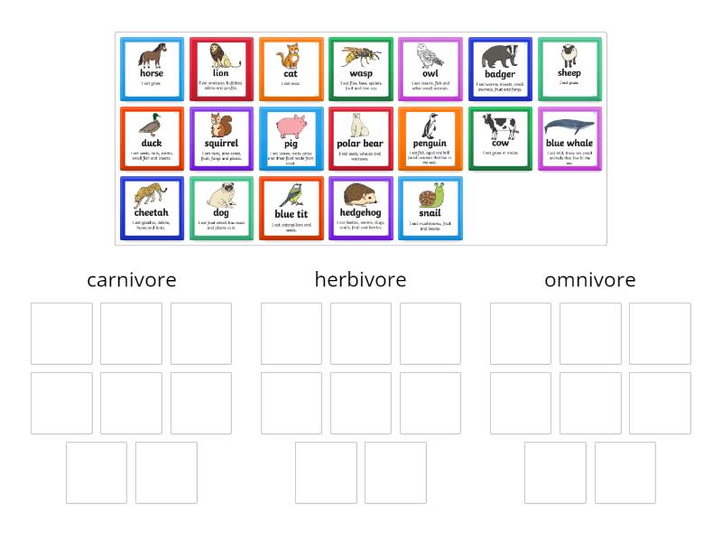 Carnivore, herbivore, omnivore - Group sort