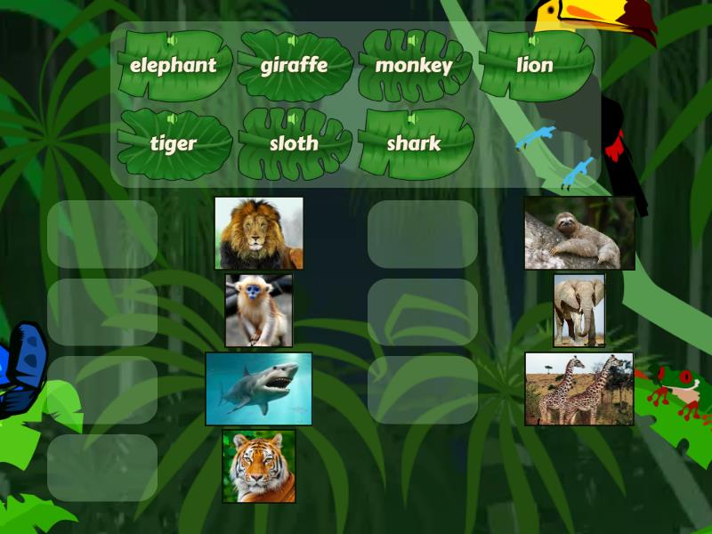 WILD ANIMALS - Match up