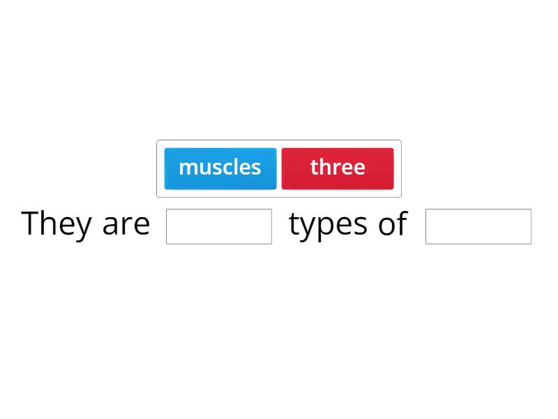 Types of Muscles (Missing Word) - Complete the sentence