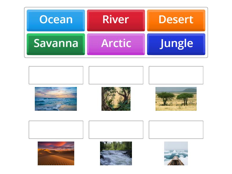 Animal Habitats - Match up