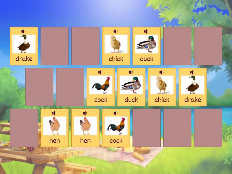 Farm animals - Birds - Matching pairs