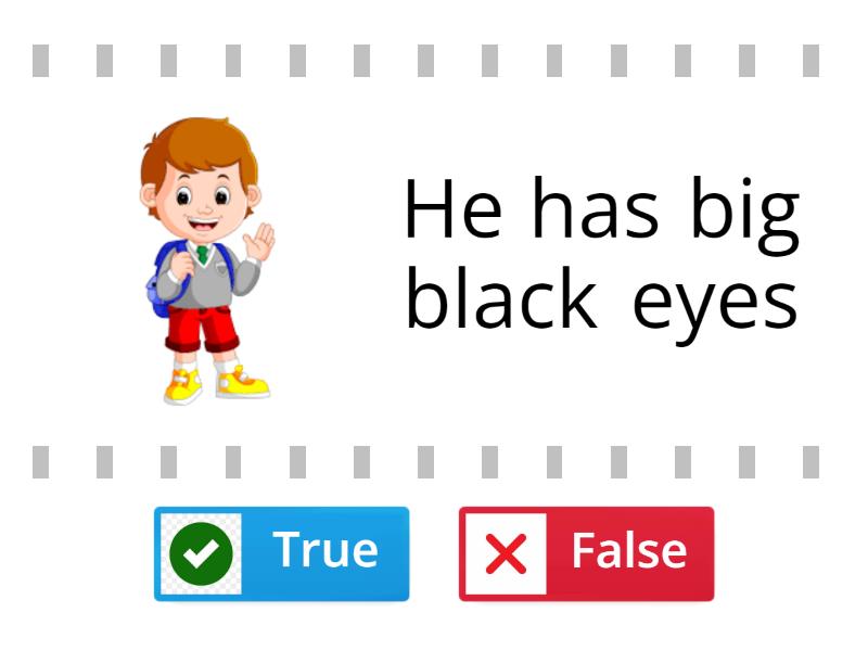 POP2_Unit 4: He/She has..... - True or false