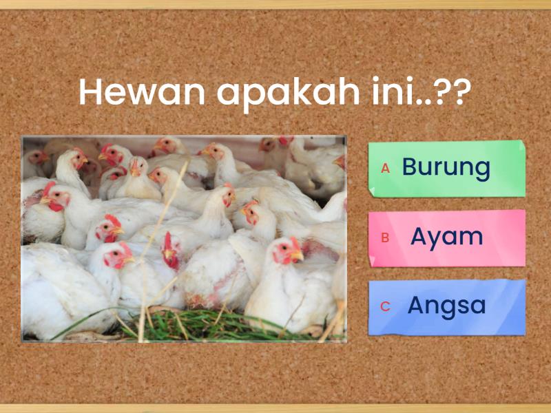 Kuis Hewan Kelas PAUD - Quiz