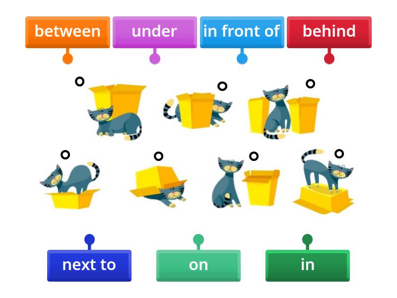 Kid's Box 2. Unit 8 - Labelled diagram