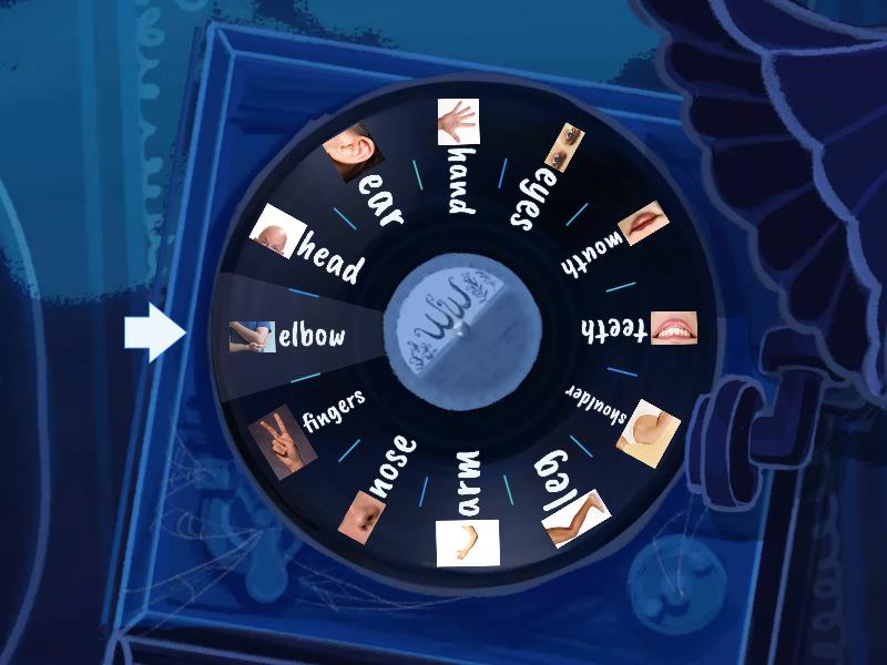 K8_Body parts wheel - Spin the wheel