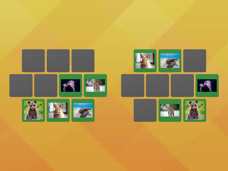 BABY ANIMALS - Matching pairs