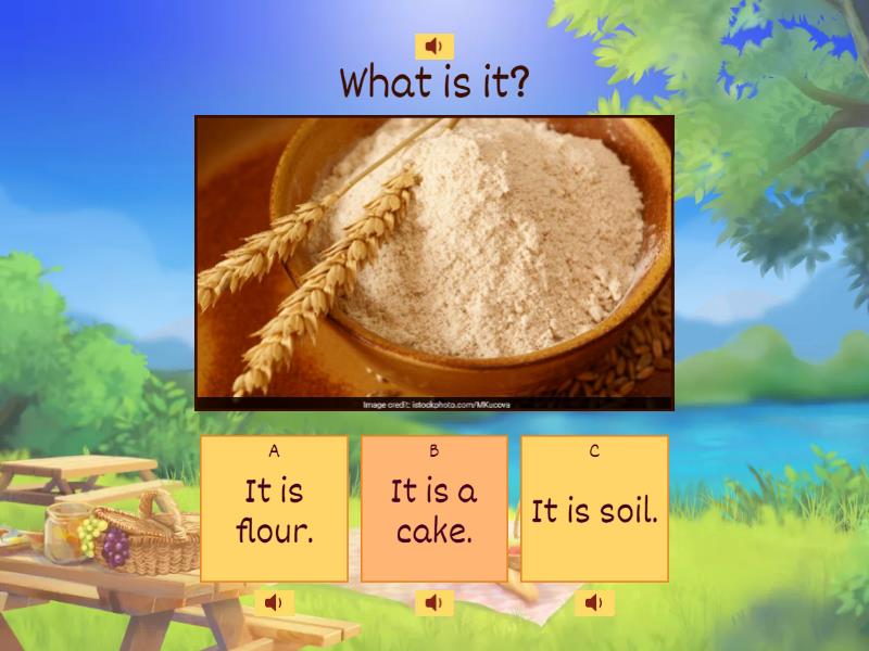 Rosa and Blanca - Quiz