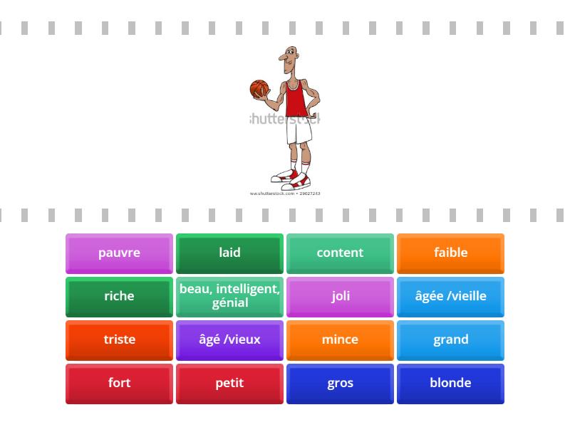 French Adjectives-Physical Descriptions - Find the match